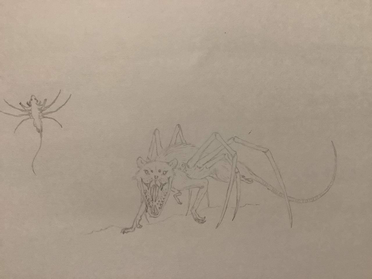 Rapider Rat Spider Hybrid By Ryaquaza1 On Deviantart