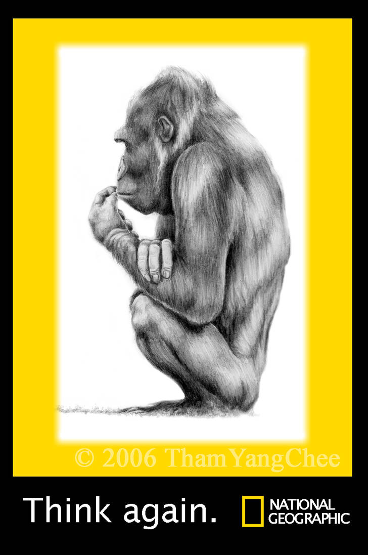 National Geographic:poster: by yctham on DeviantArt