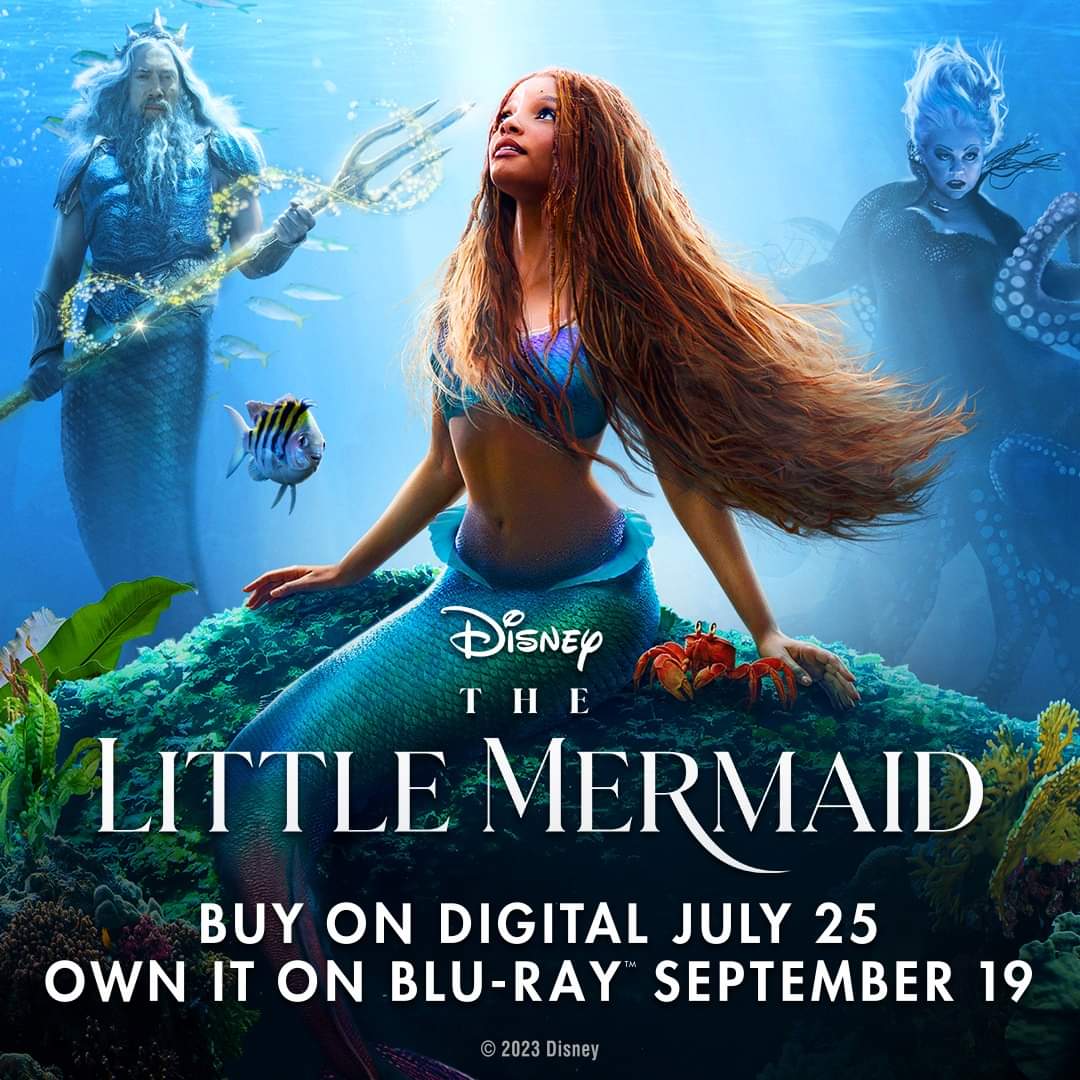 Little mermaid coming soon on DVD by aliciamartin851 on DeviantArt Little mermaid coming soon on DVD by aliciamartin851 on DeviantArt