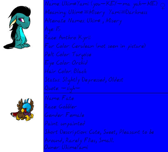 Ukime Info Sheet by HinotamaRain on DeviantArt