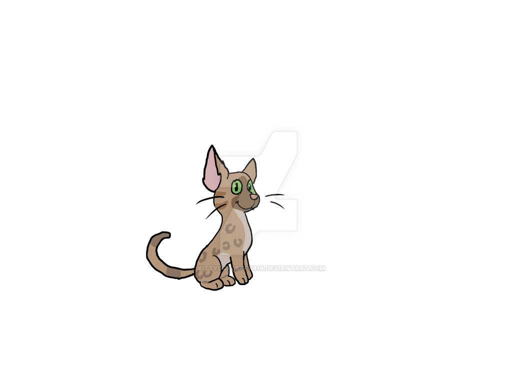 Cattails Savannah By Kittygoesbark816 On Deviantart