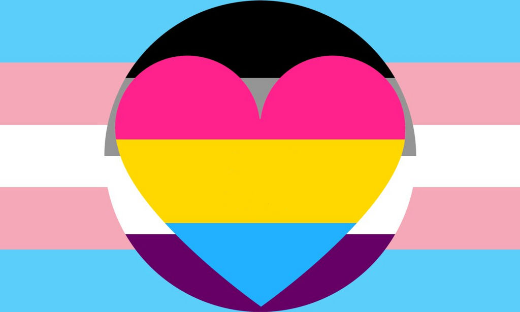 Asexual Panromantic Transgender Pride Flag By Jfifles On Deviantart