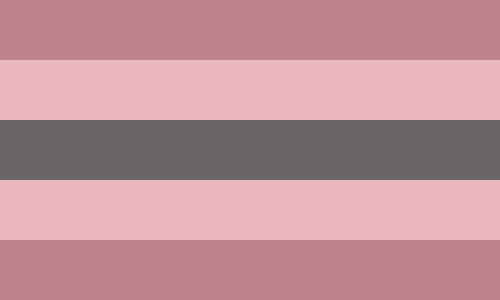 Transhet Woman Pride Flag By Jfifles On Deviantart