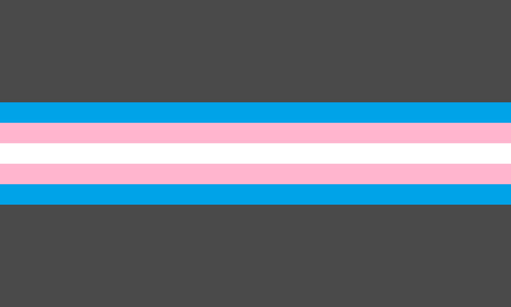 Gender Conforming Trans Pride Flag By Jfifles On Deviantart