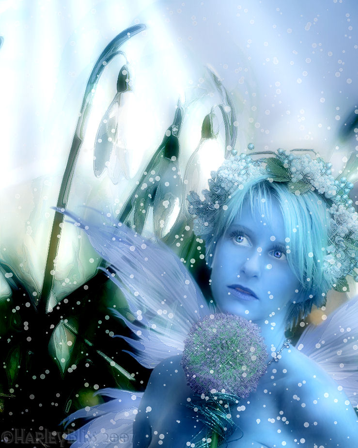 Frost Fairy by HarleyBliss on DeviantArt