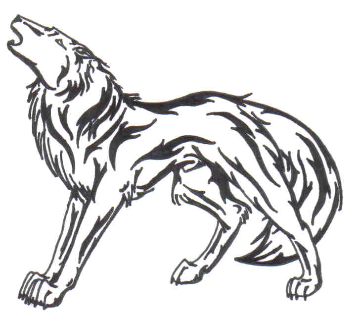 Sad Wolf Howl Drawings