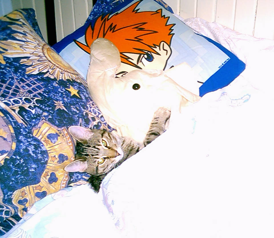 Snuggle bug by Doomwing on DeviantArt