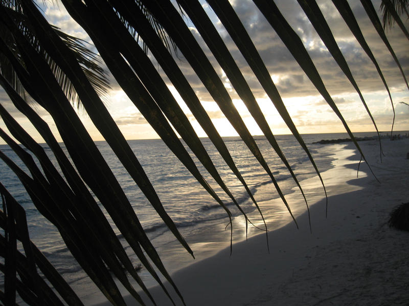 Shaded Sunset by Escalady on DeviantArt