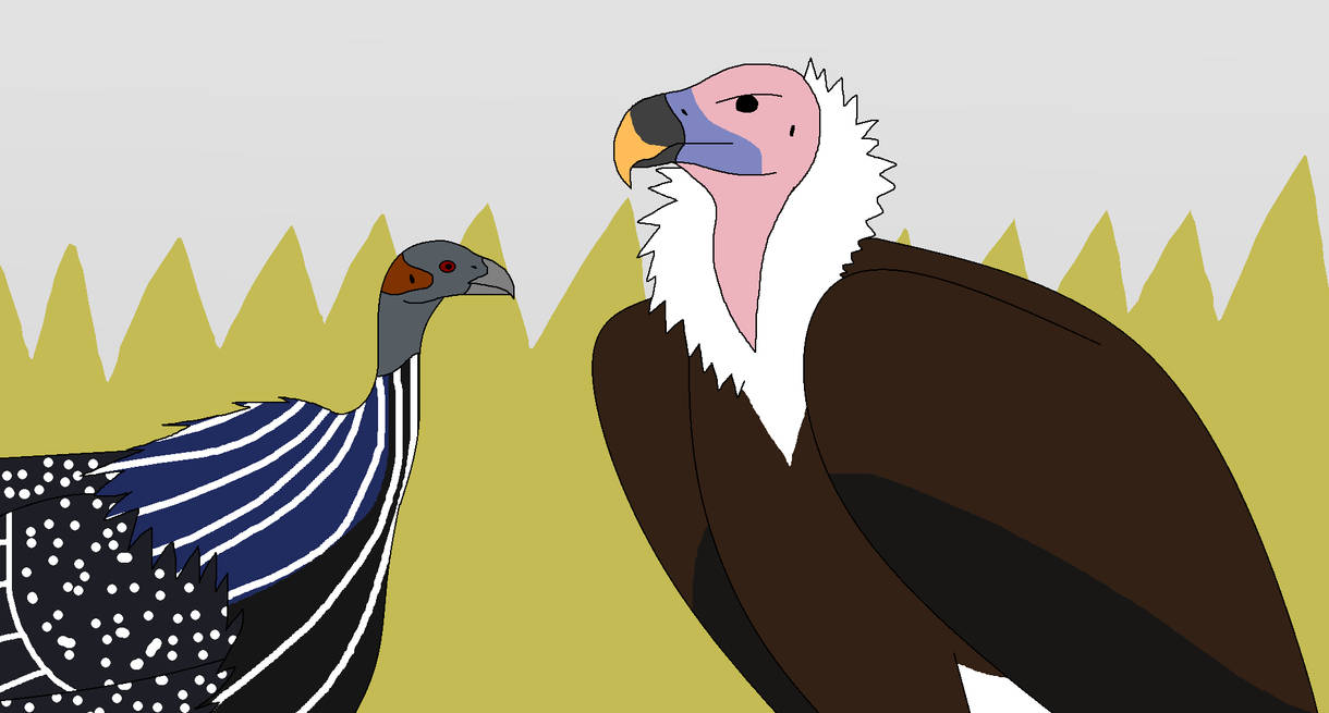 Featherless Heads By Wildandnaturefan On Deviantart