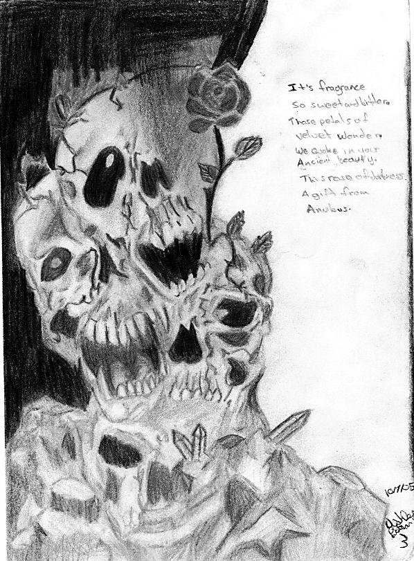 Metamorph Skulls by DarkInuAngle on DeviantArt