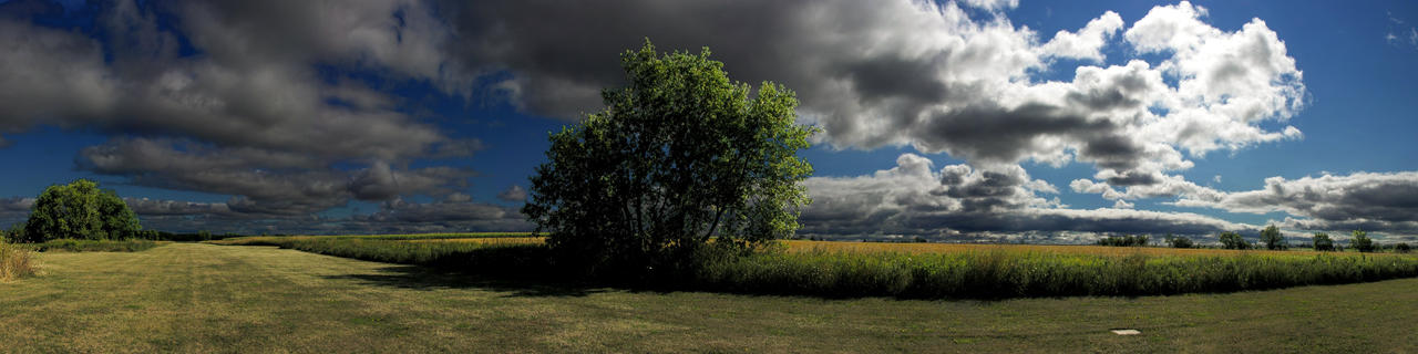 That Damn Tree Again by ToeTag on DeviantArt