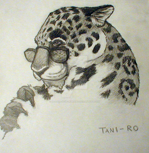 Anthro Jaguar Pencil By Ragged Wolf Running On Deviantart