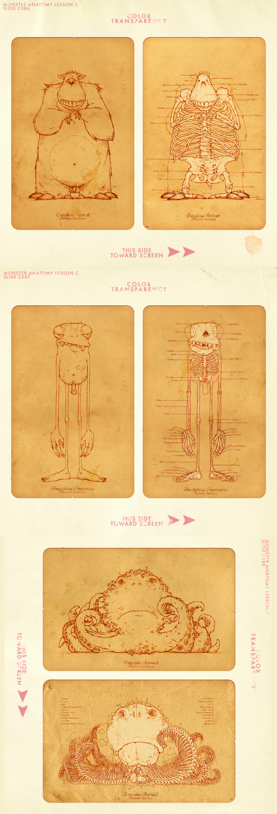 A Guide to Monster Anatomy by RYE-BREAD on DeviantArt