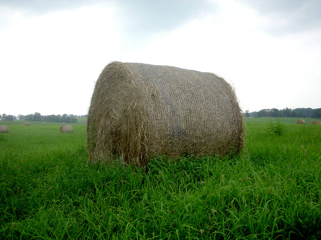 The Proudest Bail of Hay by MrSpackle on DeviantArt