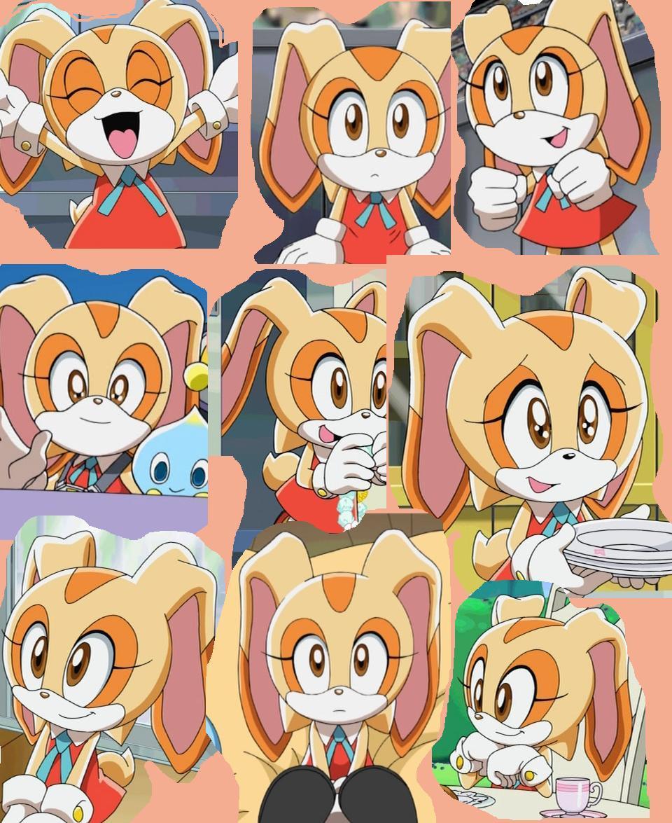 Cream The Rabbit Sonic X By Aleksandracageletcom On Deviantart
