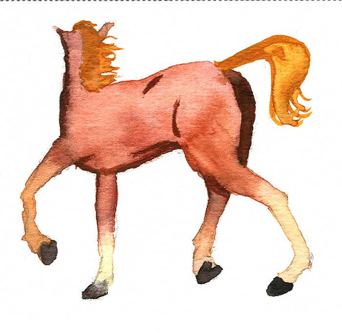 Horse Turnaround by laurageldart on DeviantArt