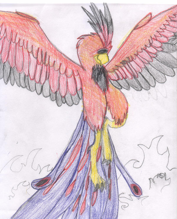 Pheniox by carol435 on DeviantArt