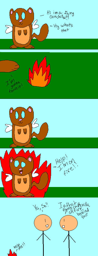 The Flying Chinchilla By Animehero1 On Deviantart