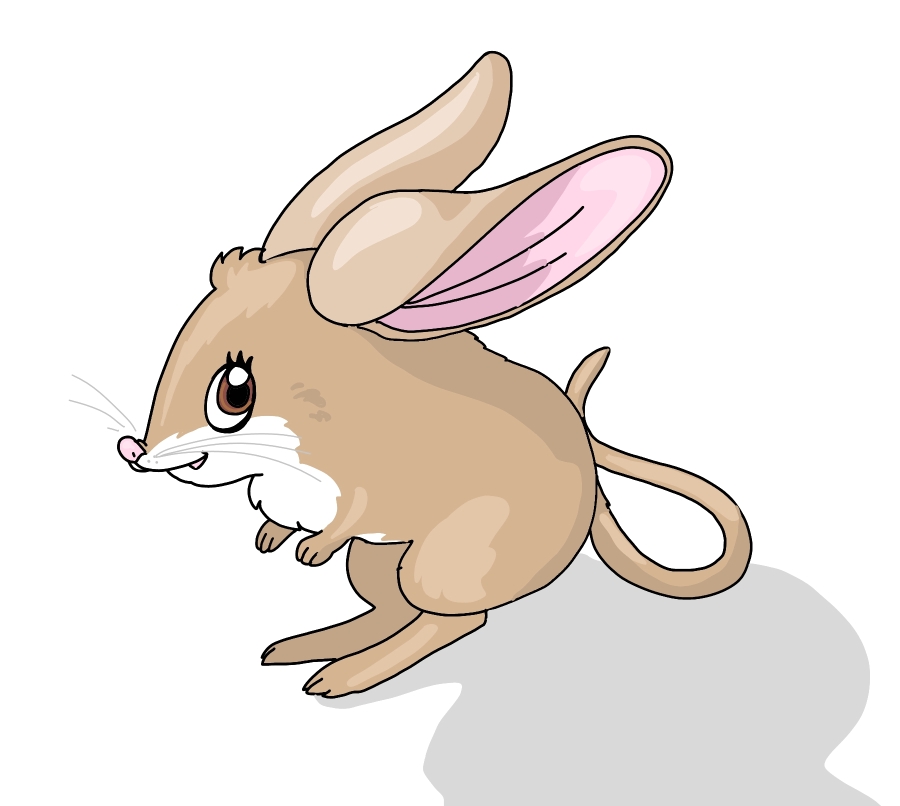 Long Eared Jerboa