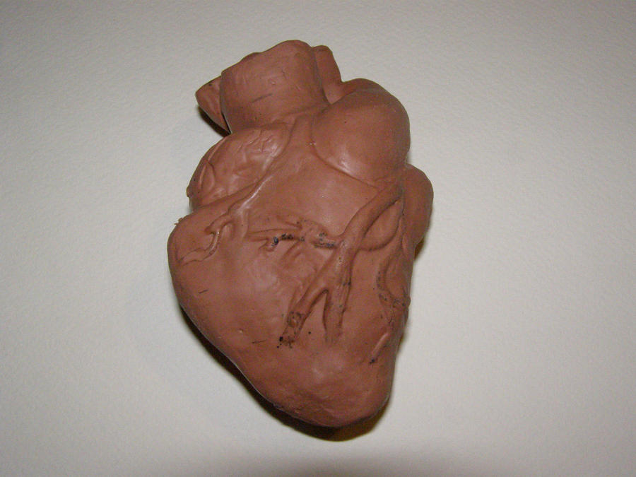Clay Heart By RamBrett On DeviantArt clay-heart-by-rambrett-on-deviantart