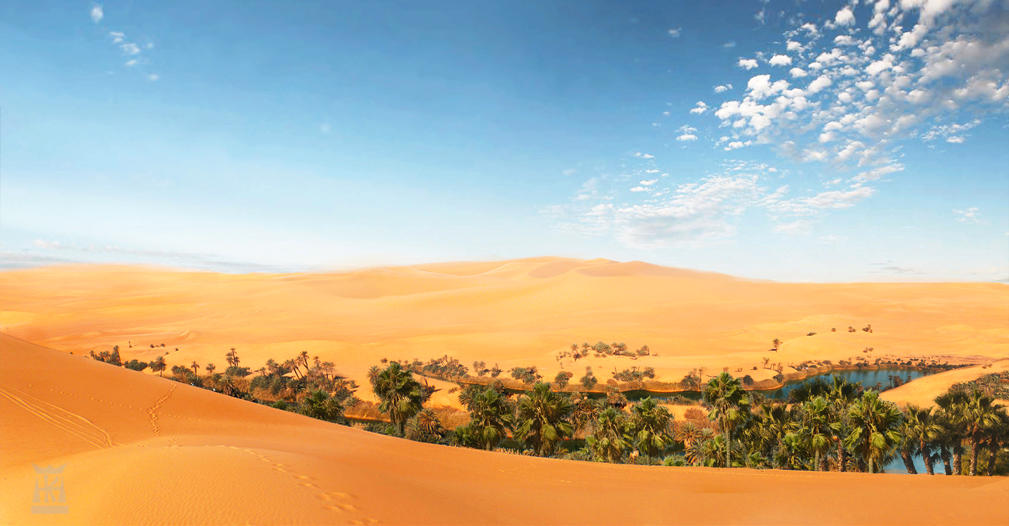 Desert Pearl by Suirebit on DeviantArt