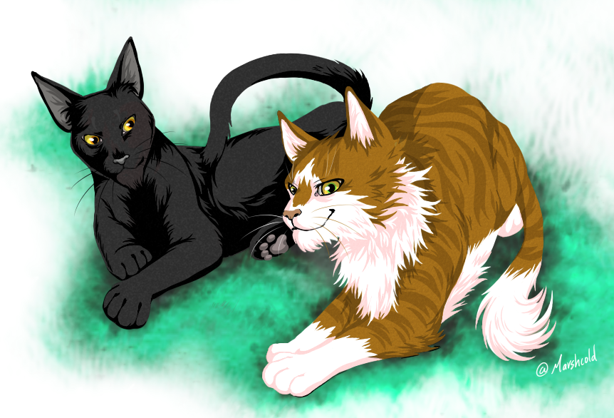 Nightheart And Sunbeam By Marshcold On DeviantArt nightheart-and-sunbeam-by-marshcold-on-deviantart