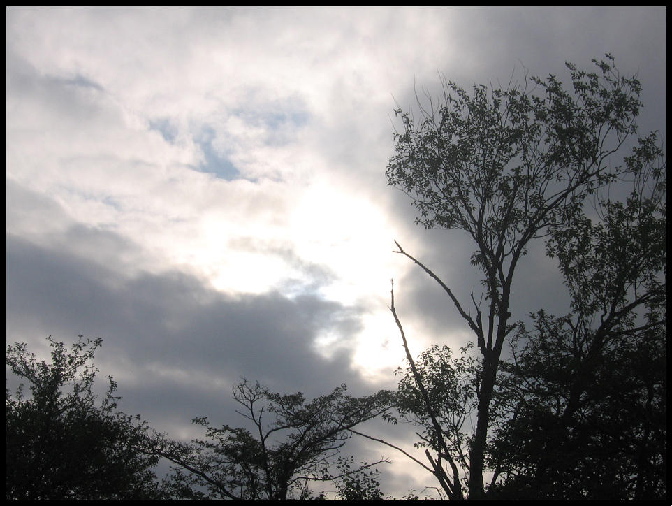 Clearing The Sky by Mich31 on DeviantArt