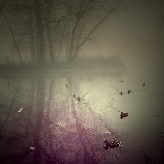 Mirror lake by fogke on DeviantArt