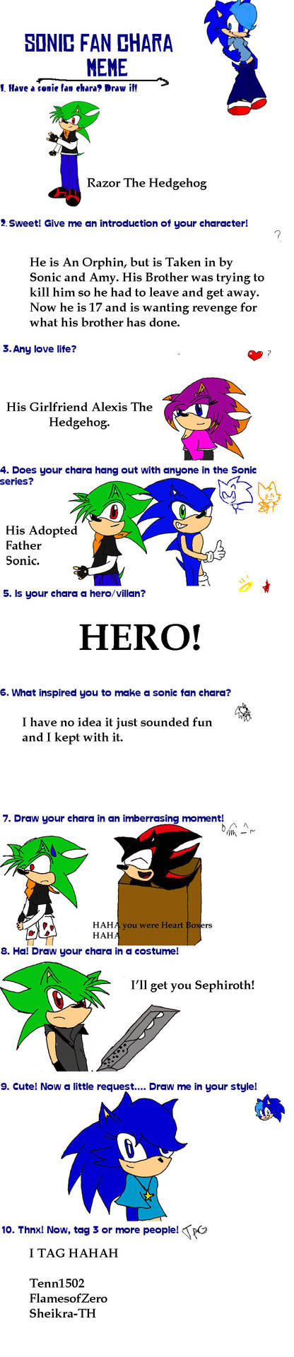 Sonic Fan MEME by MCRvampire08 on DeviantArt