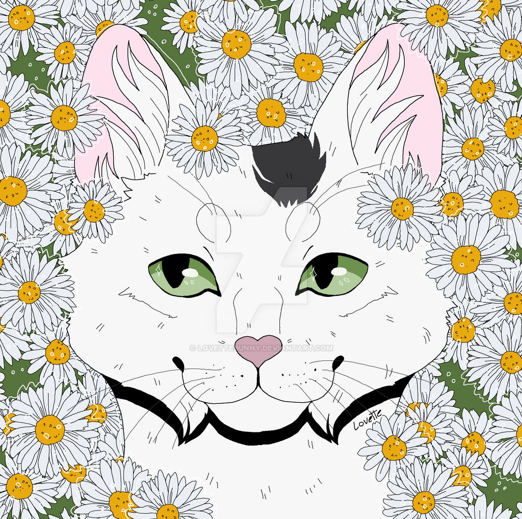 Commission Daisy Cat By Lovettebunny On Deviantart