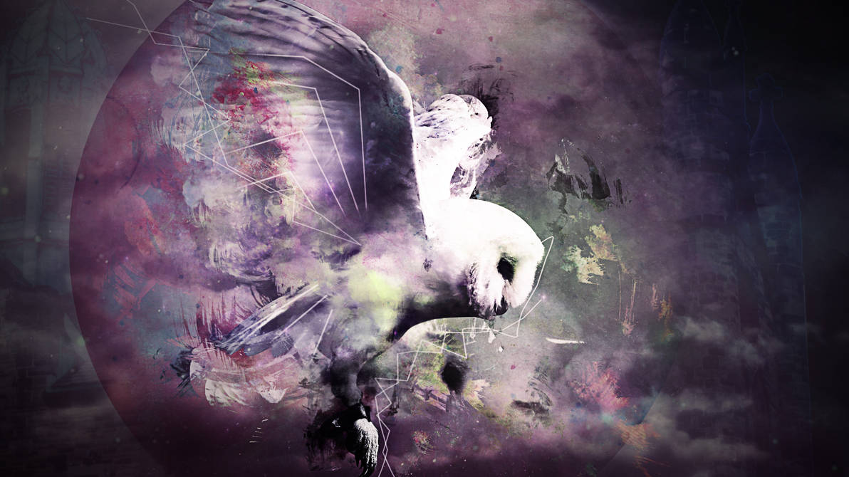 Flight For Knowledge Wallpaper By Kaki Tori On Deviantart