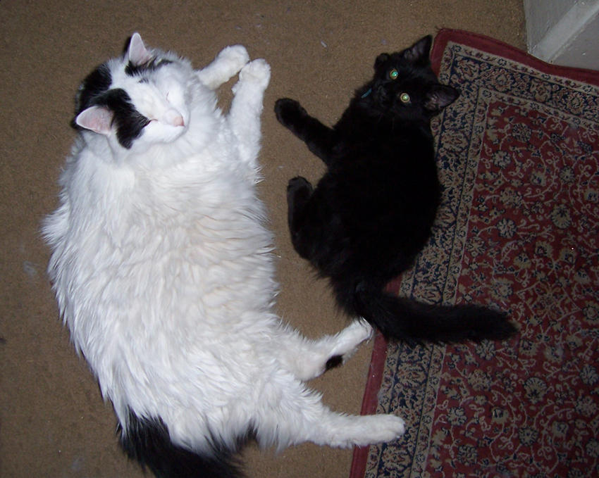 The Terrible Twosome by philosophyoftime on DeviantArt