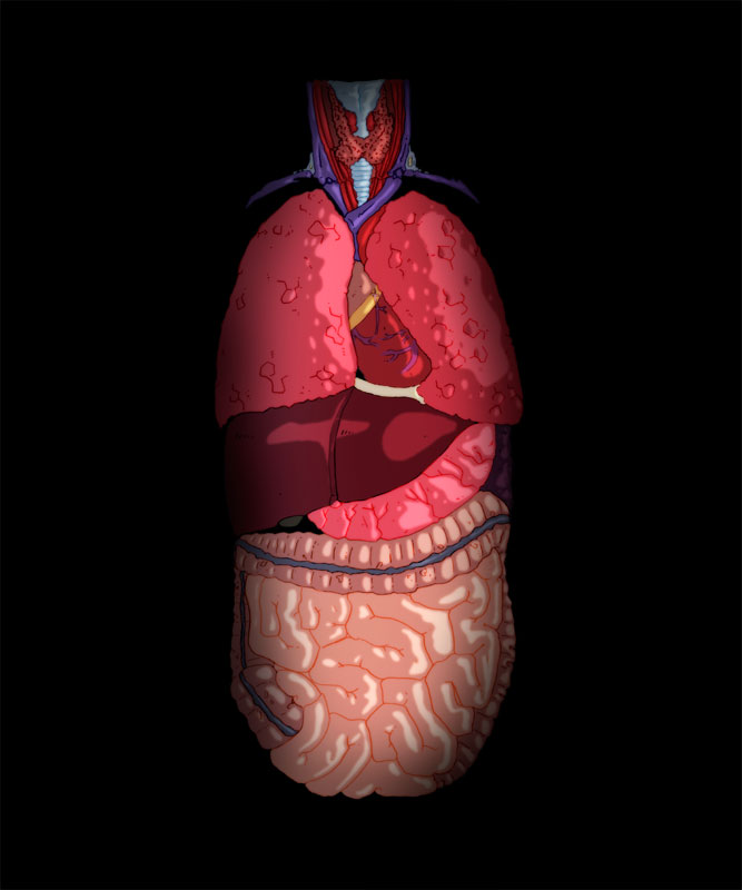 organs by house-of-26 on DeviantArt