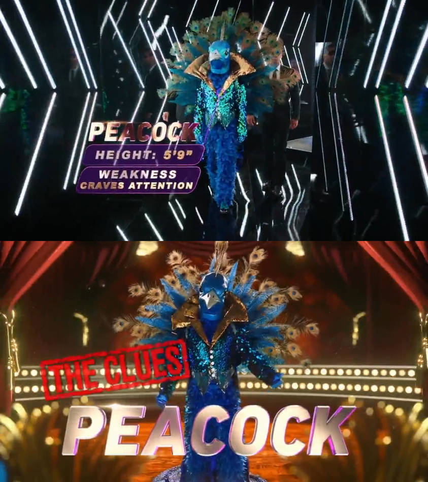 Masked Singer Peacock By Mdwyer5 On Deviantart