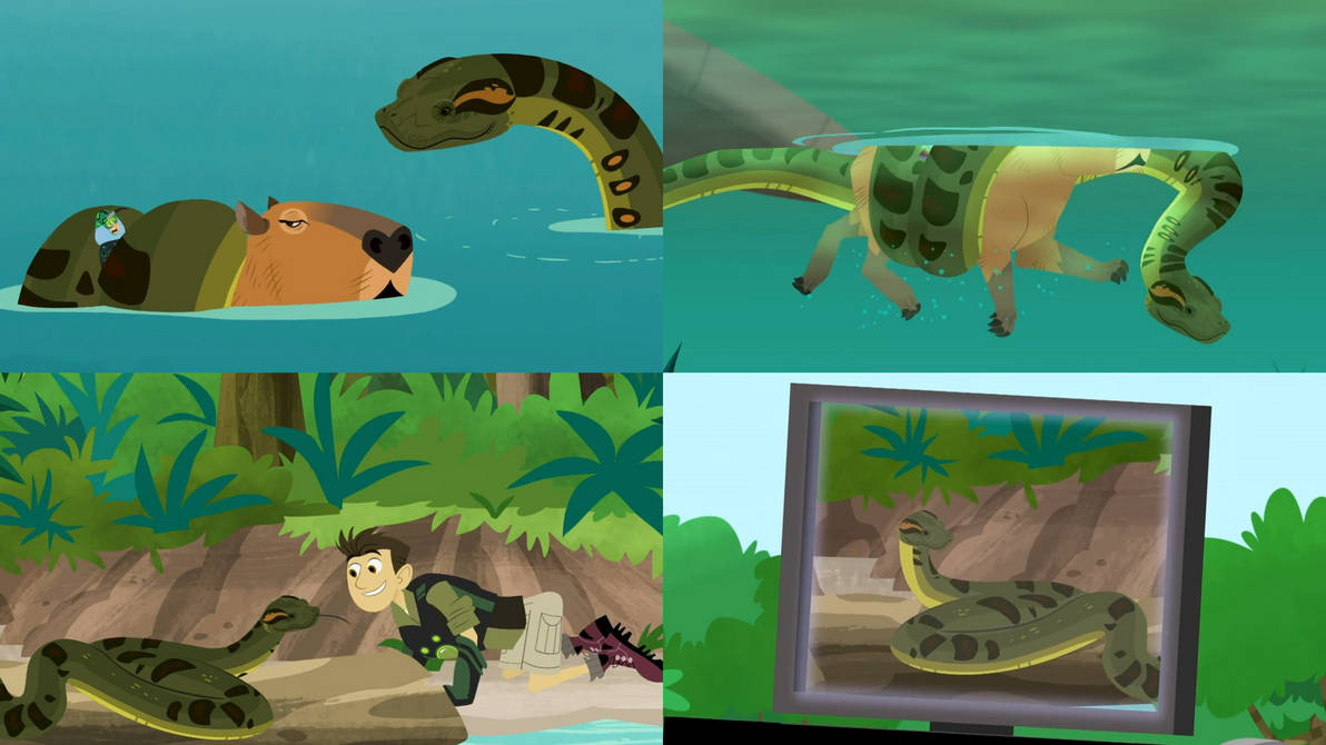 Wild Kratts Green Anaconda by Mdwyer5 on DeviantArt Wild Kratts Green Anaconda by Mdwyer5 on DeviantArt