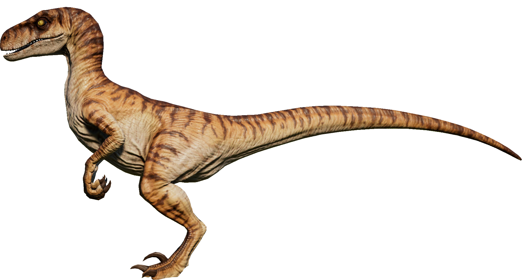 Velociraptor The Lw Jp 1997 Maschio By 3383383563 On Deviantart