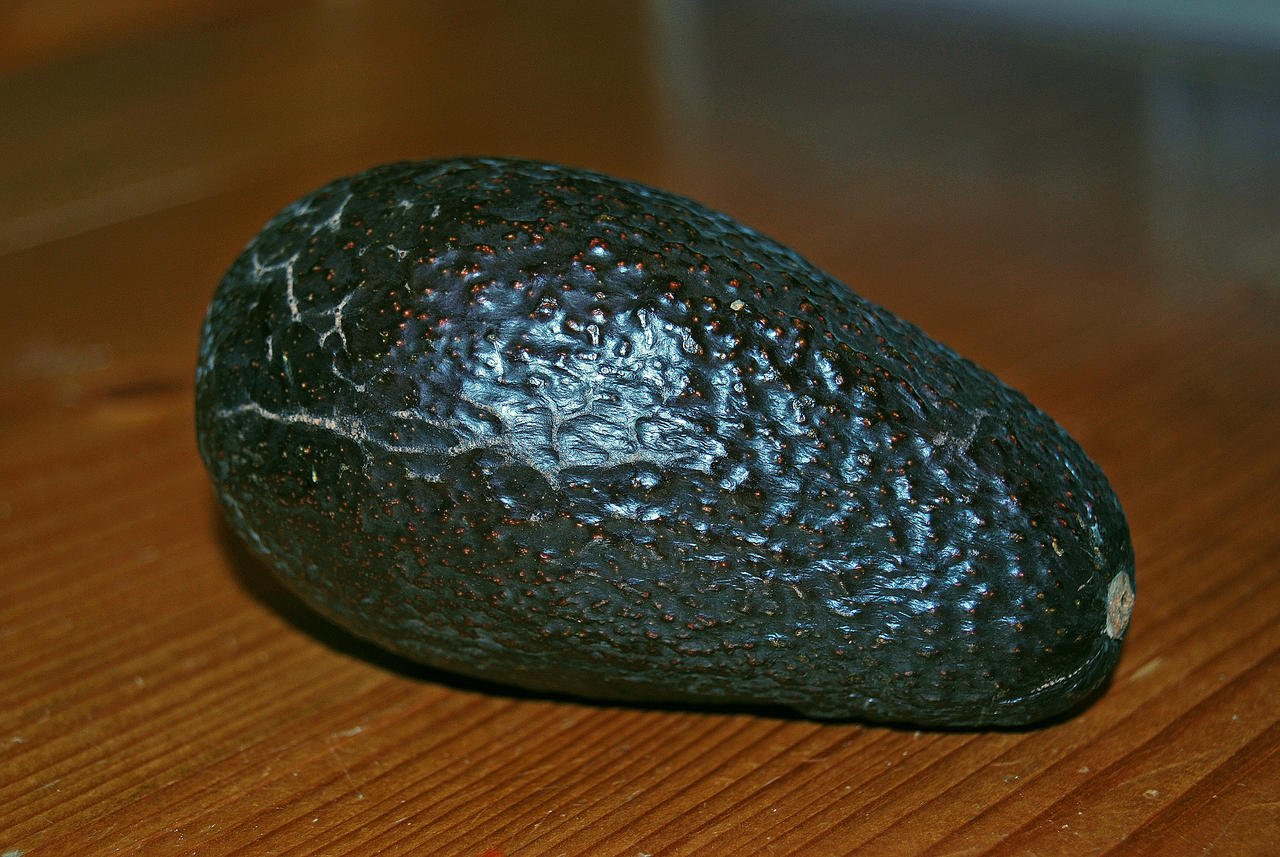 Avacardo by PictureProfile on DeviantArt