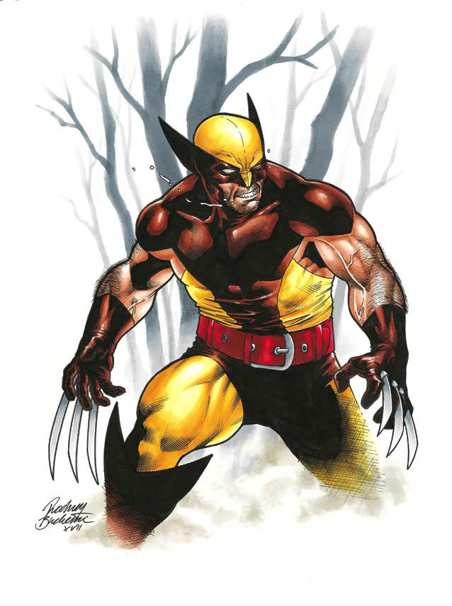 Wolvie Final low by Buchemi on DeviantArt Wolvie Final low by Buchemi on DeviantArt