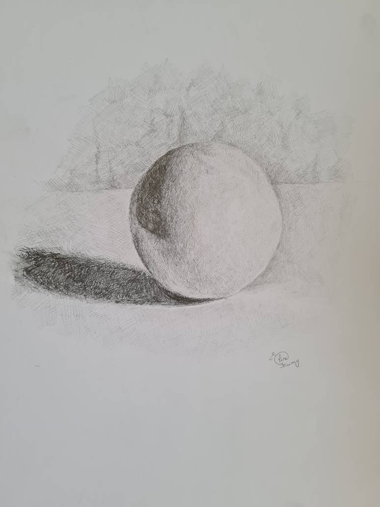 Hatching Practice 3 Basic Forms 1 Sphere 1 By Rinejourney On Deviantart