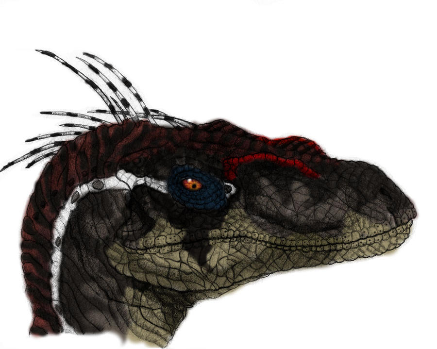 Jp3 Velociraptor Color By Yankeetrex On Deviantart
