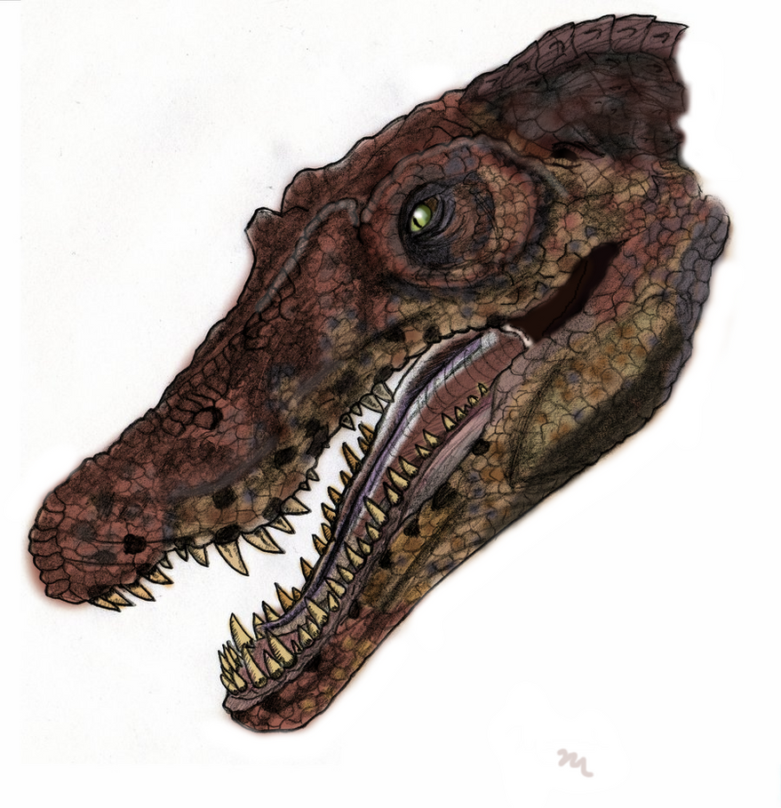 Jurassic Park Spinosaurus By Yankeetrex On Deviantart