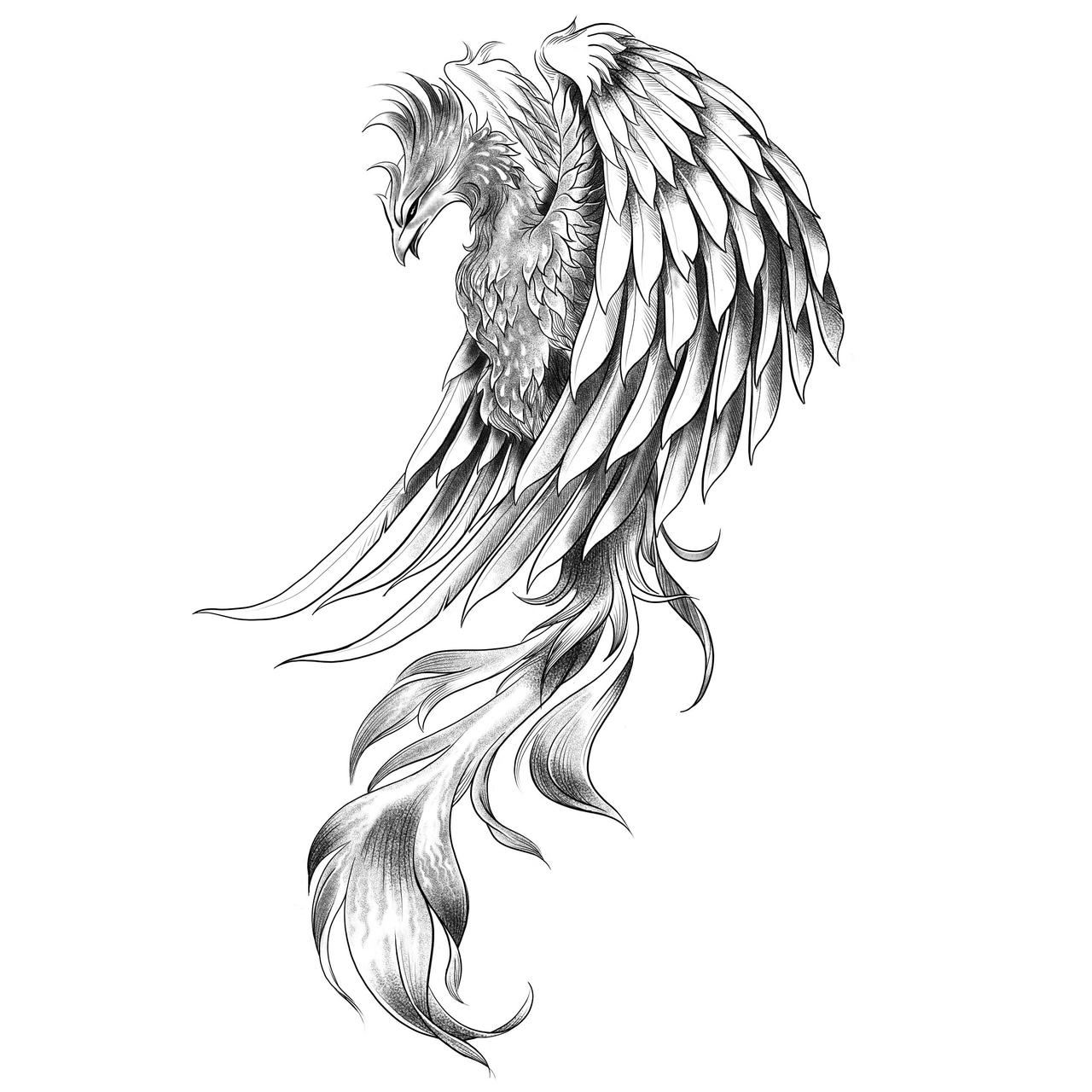 Phnix Chris1 By Hankengai On Deviantart