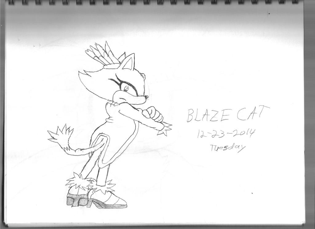 Blaze Cat By Fallnightwolf On Deviantart