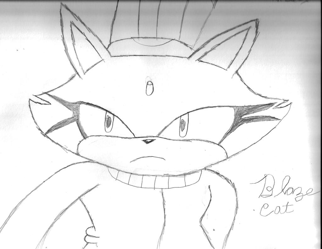 Blaze Cat By Fallnightwolf On Deviantart