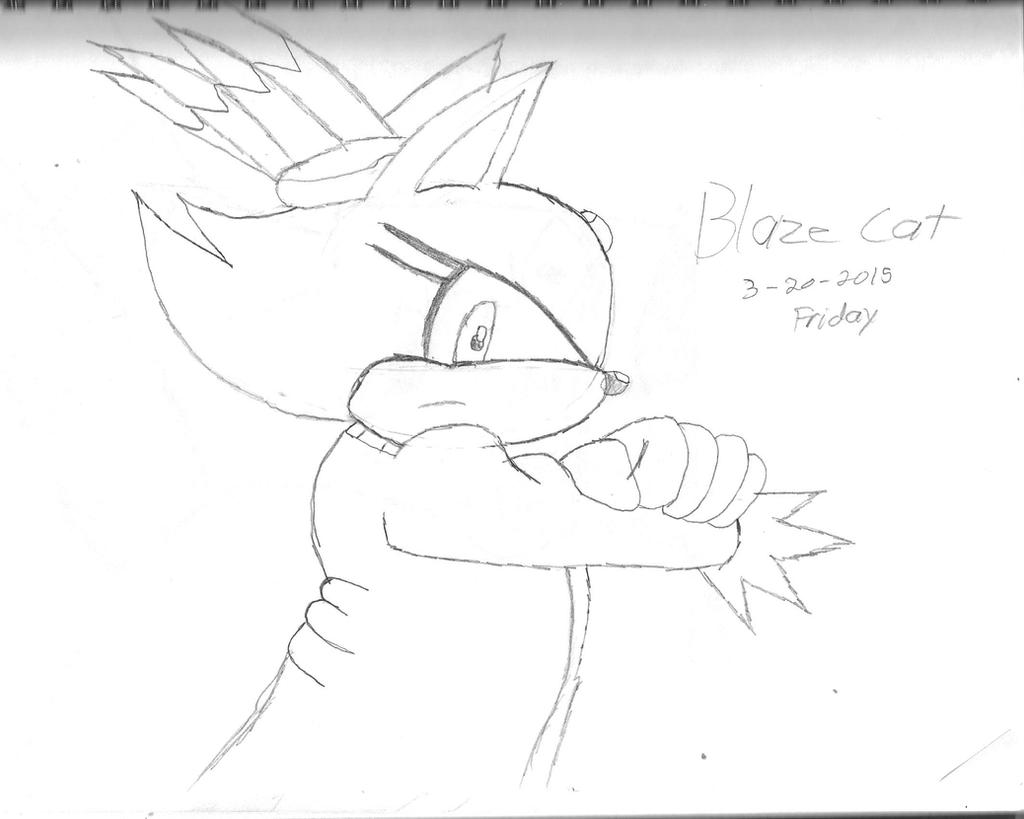 Blaze Cat By Fallnightwolf On Deviantart