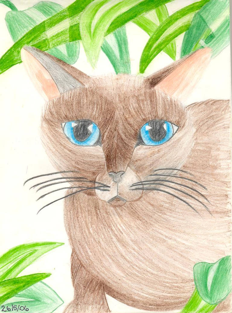 Hidden Cat by Juh-Strawberry on DeviantArt