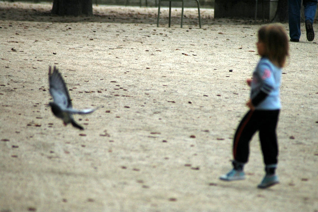 Girl chasing a bird by lavan999 on DeviantArt
