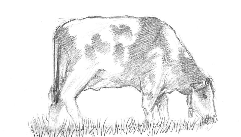 cow by mario-anime on DeviantArt