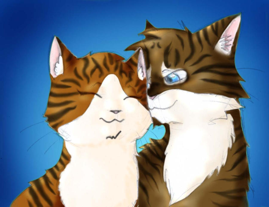 Hawkfrost X Leafpool By Moonraven2 On Deviantart
