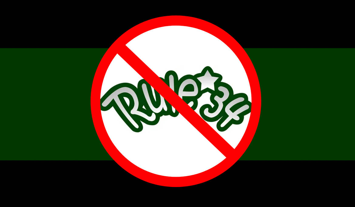 Anti Rule34 Flag By Lisaanimatube On Deviantart